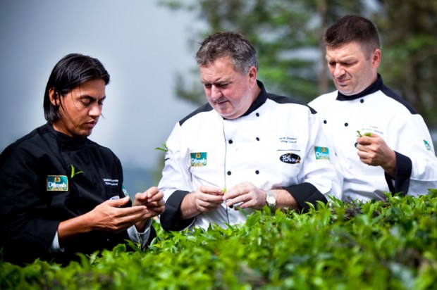 Simon Gault – New Zealand | Chefs and the Teamaker
